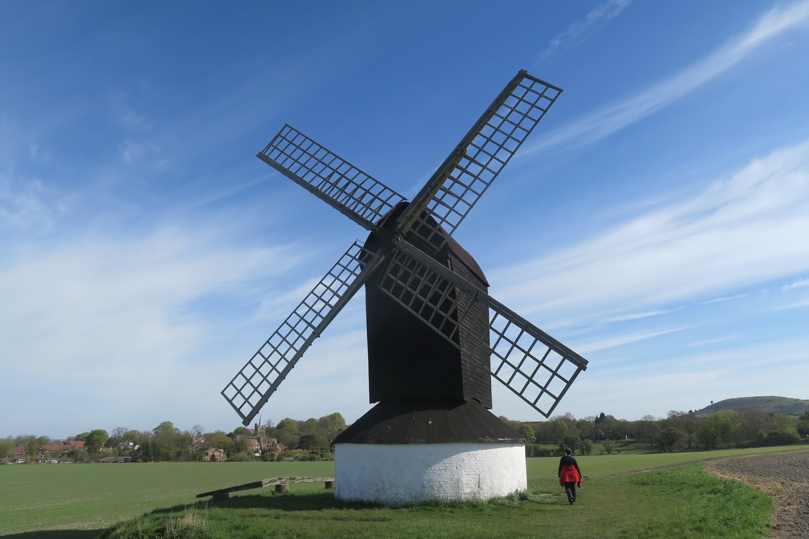 The Travels of a Curious Old Man: Bluebells in Dockey Wood and the ...