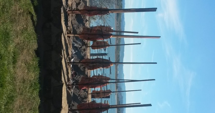 eweniquely ewe: Salmon Celebration