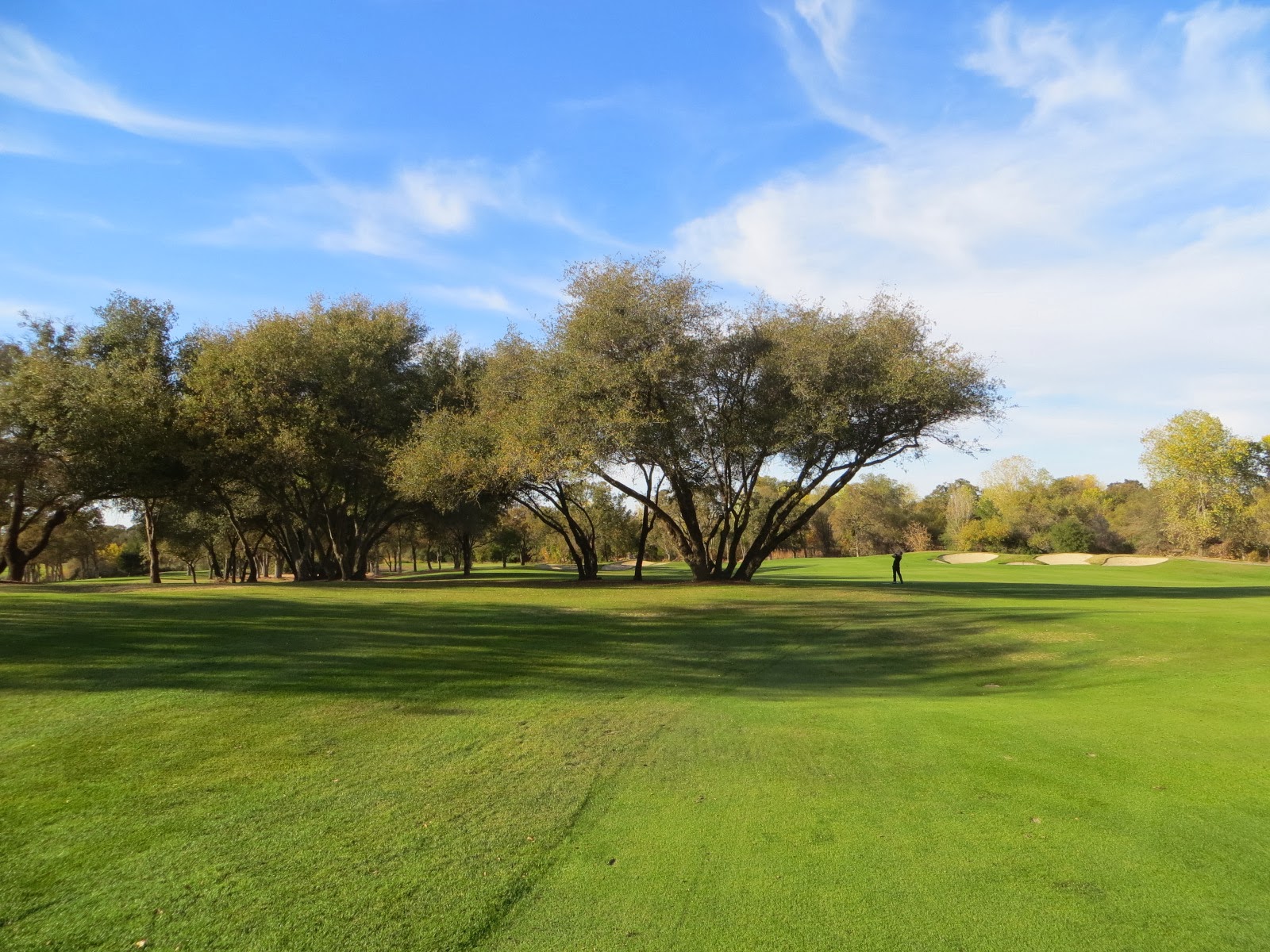 Granite Bay Golf Club Course Update: Tree Planting and Restoration