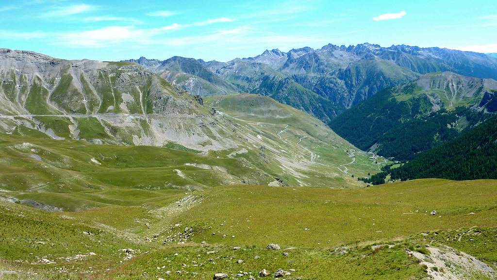 Over 100 Cols to PBP