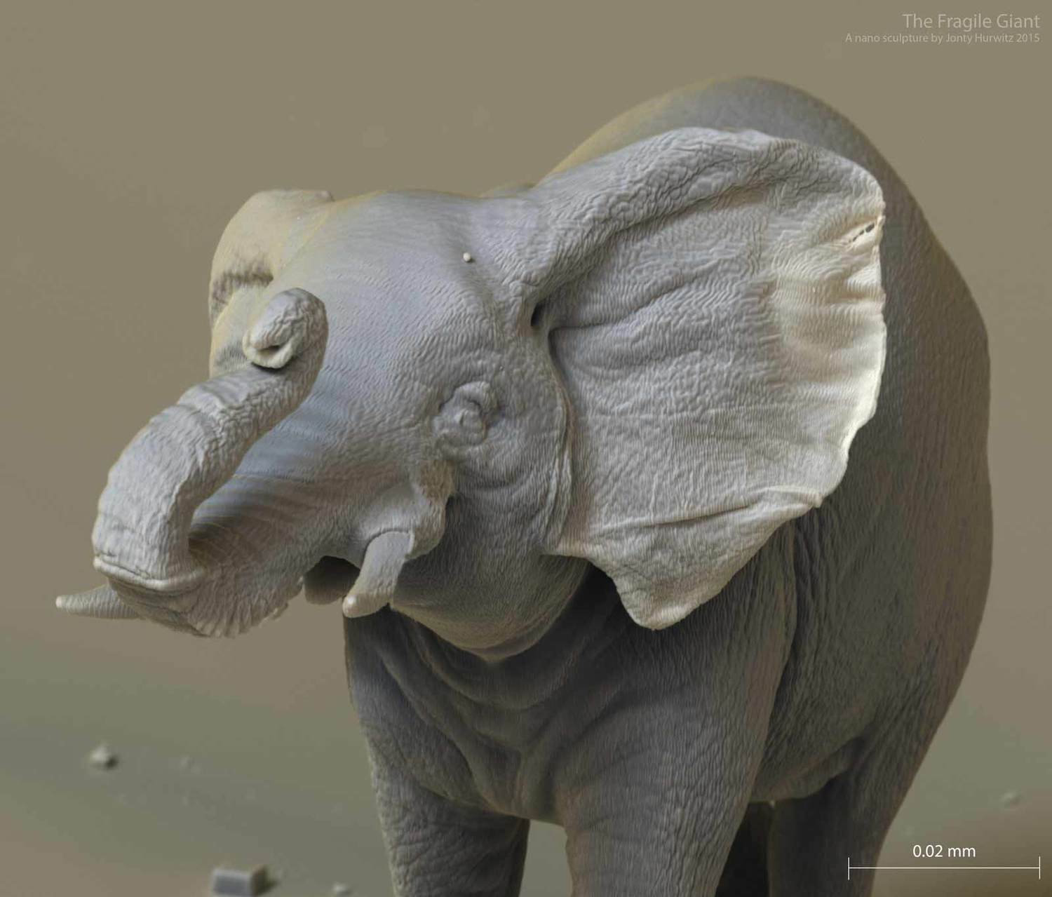 SCIENCE TO SOCIETY: A giant elephant on a groove of human fingerprint ...