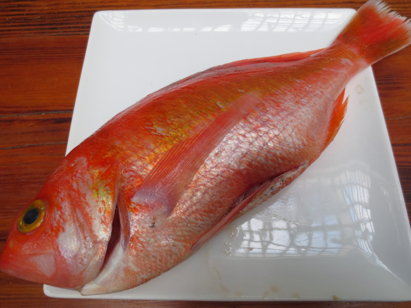 66 SOUTH 2ND STREET BROOKLYN NY