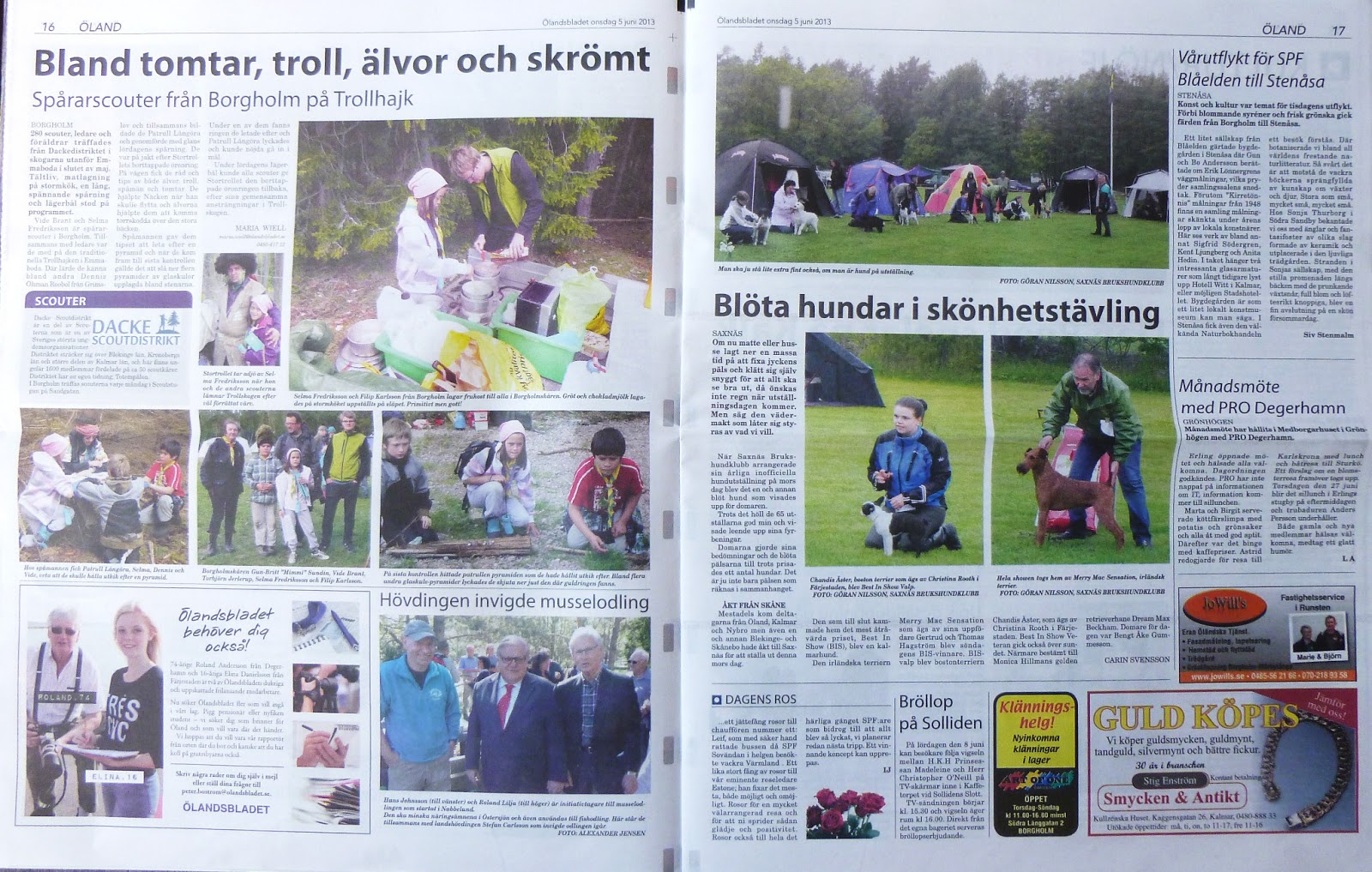 tidningstankar: Ölandsbladet - en överlevare bland tidningar