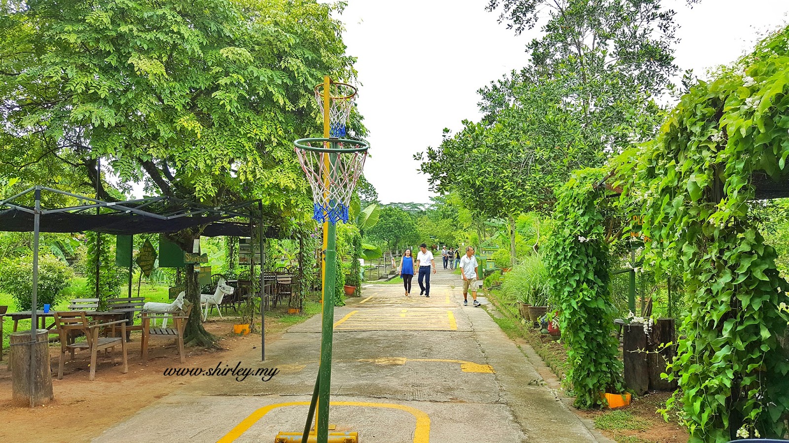 A day visit to Kranji Countryside Singapore - Bollywood Farms - Shirley.my