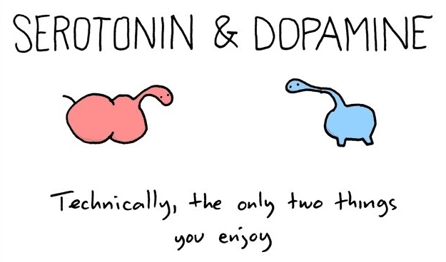 Geek Jokes: Serotonin & Dopamine Joke