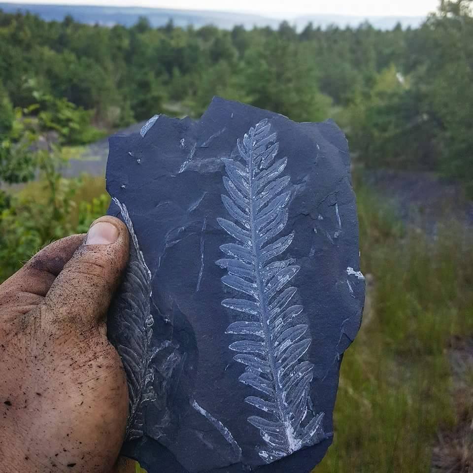 Learning Geology: 10 of the Best Learning Geology Photos of 2016