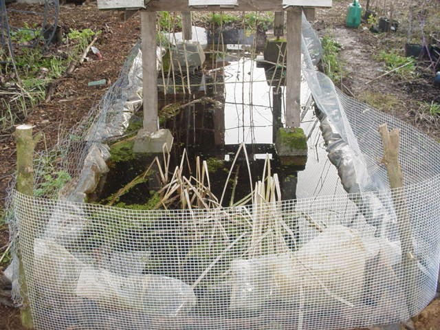 Hoophouse on the Slug Moat | Permaculture, Perennial Polycultures ...