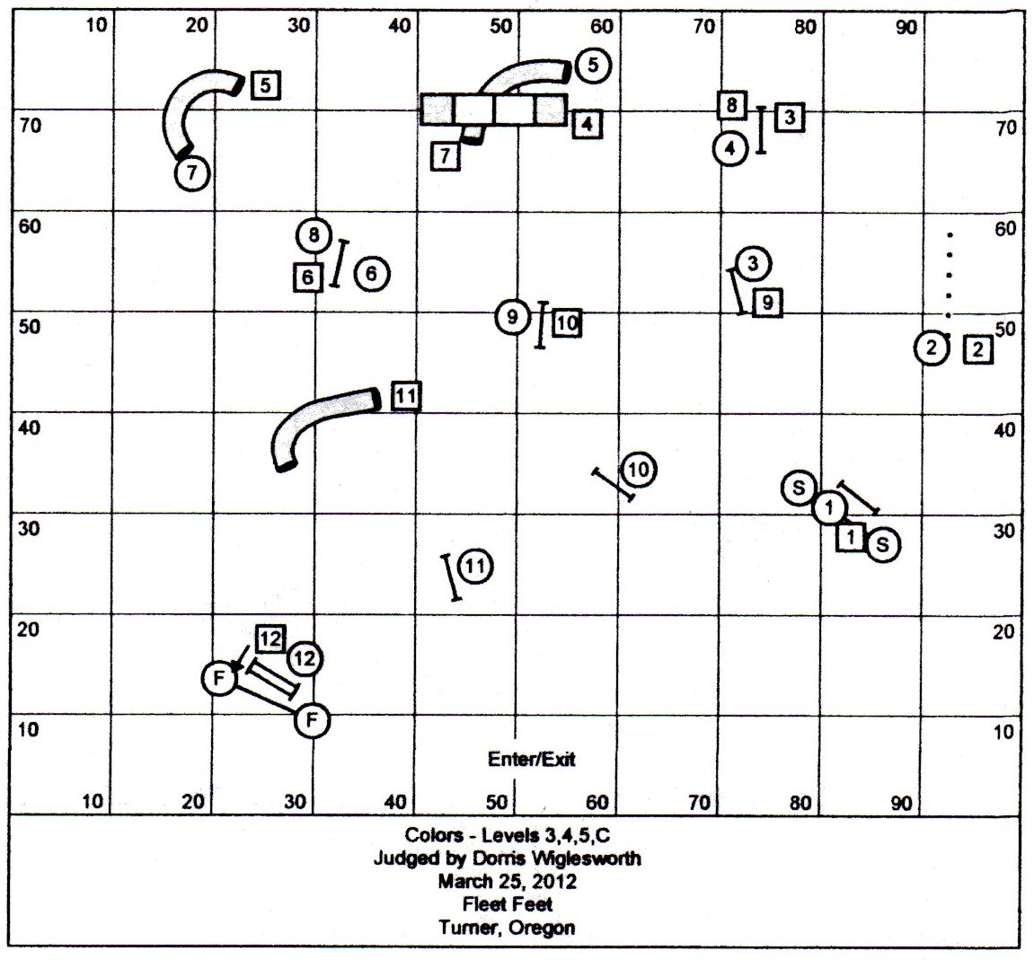Danes Can Q: Fleet Feet CPE Agility, March 24-25