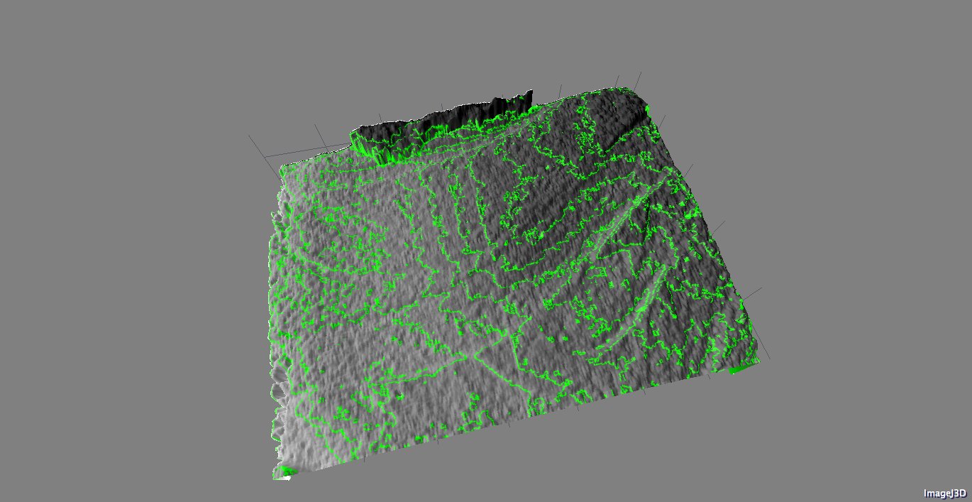 Research at a snail's pace: Hacking the Em2: Using the ImageJ to create ...