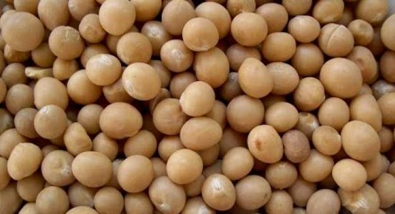 Well, It's Africa...: Nyimo Bean Supreme