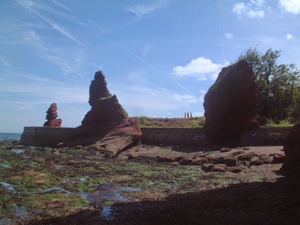 JSBlog - Journal of a Southern Bookreader: Shell Cove - development?