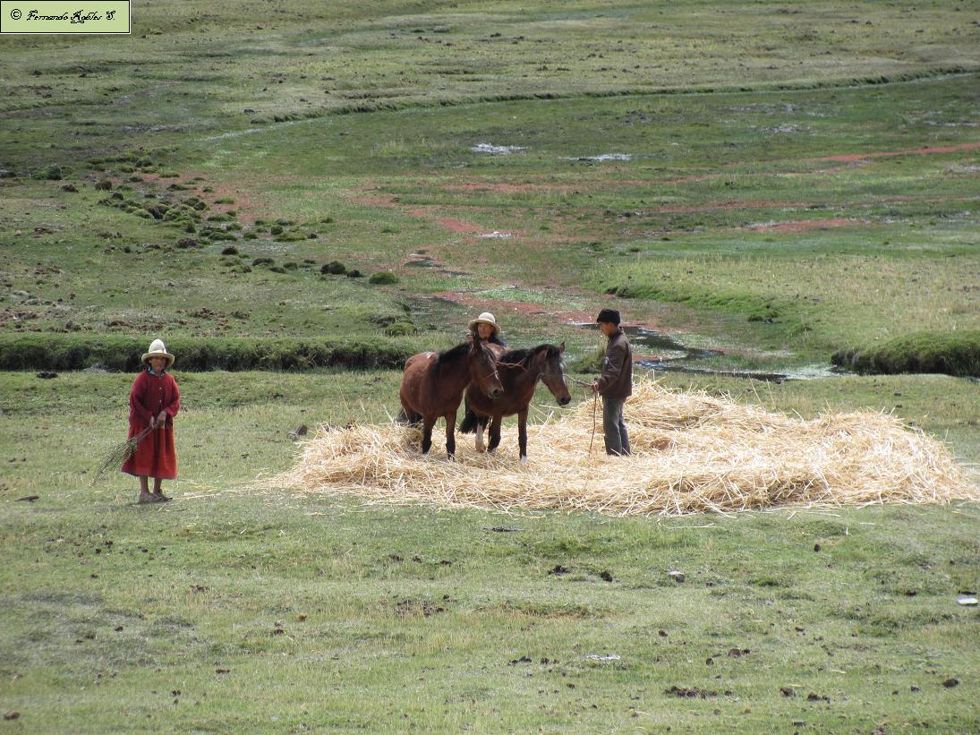 Andaray: Parte IX: Vuelta al Alpamayo
