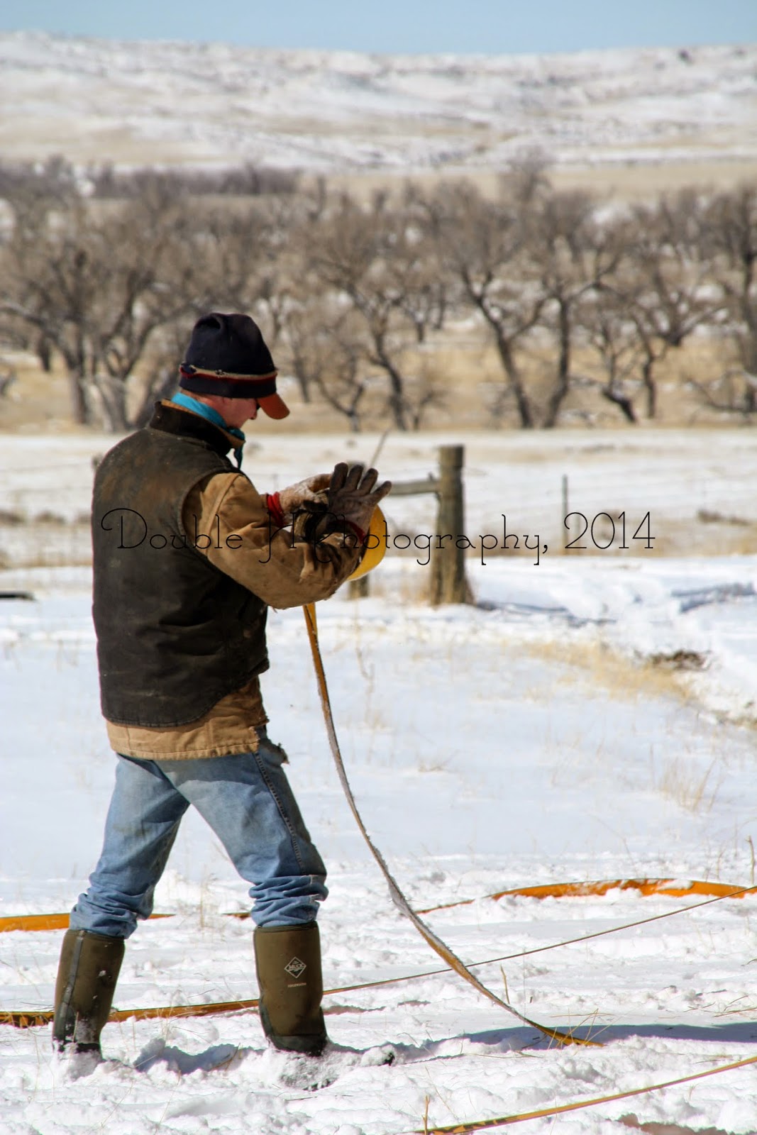 Double H Photography: Hauling Hay