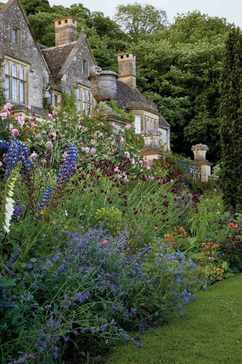 Portobello Design: Cotswolds Manor House ... A tangle of pink climbing ...