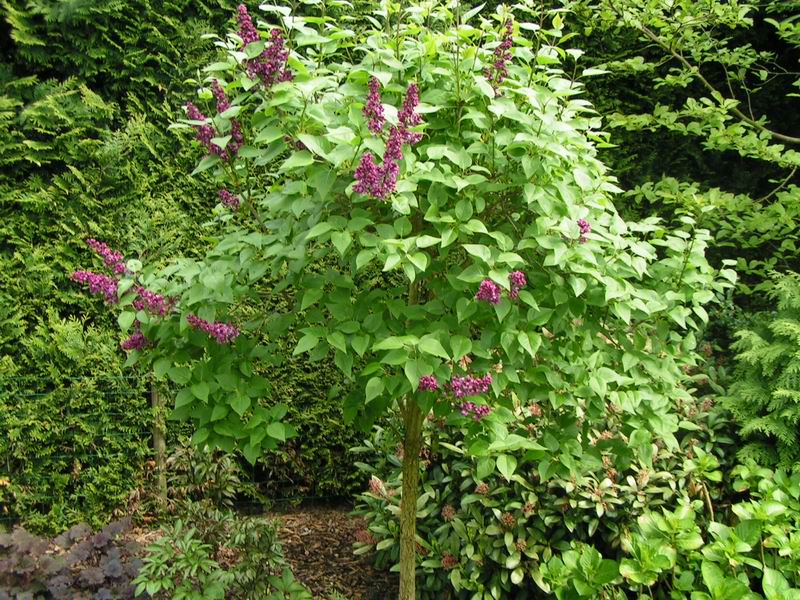 Ellen's Vintage Corner******: En nog maar een paar