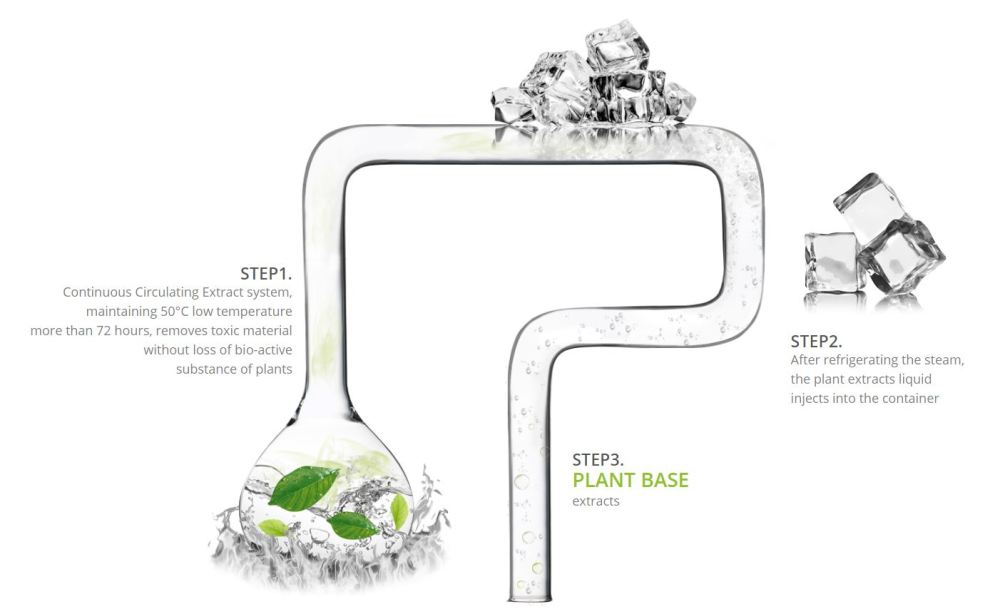 EVERGREEN LOVE: The Plant Base White Truffle and Korean Ginseng For ...