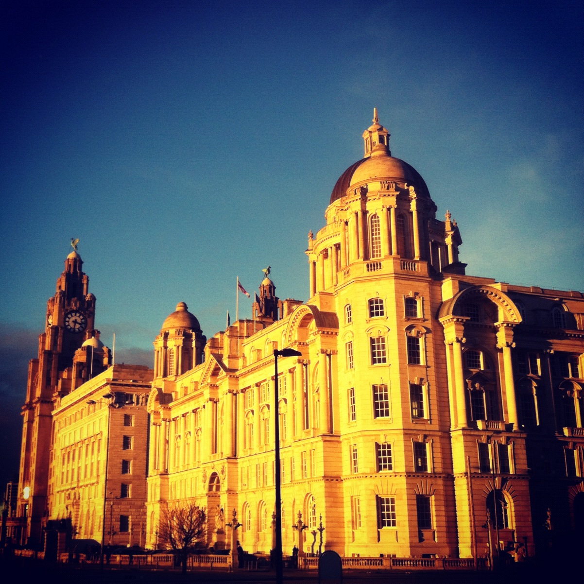 La Belle et La Bête: Liverpool Biennale 2012