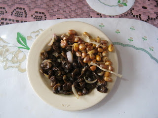 Alterfacso: CATZO BLANCO, TRADICIÓN ANDINA