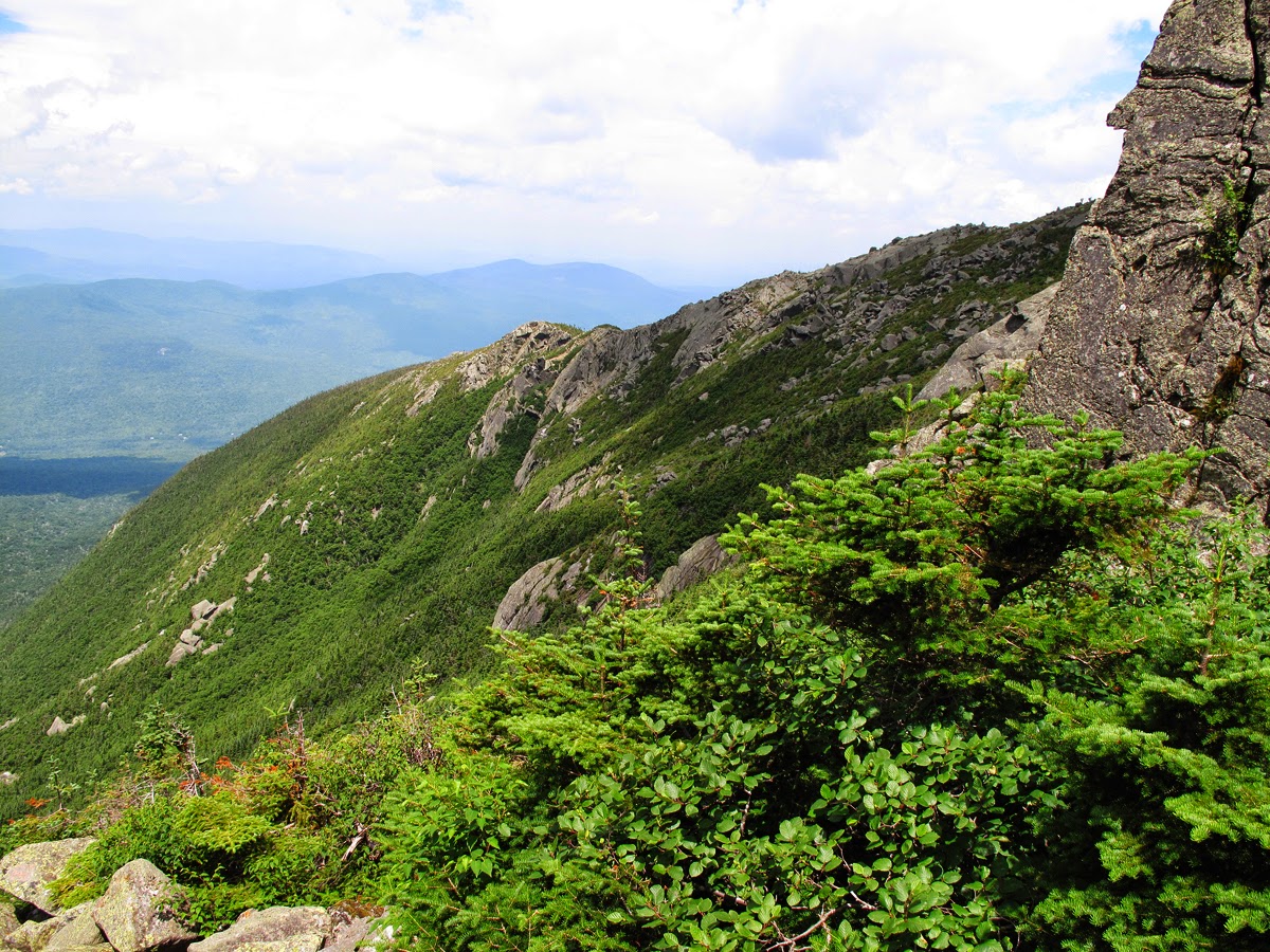 White Mountain Sojourn: 7-26-14 Mt. Adams, King Ravine