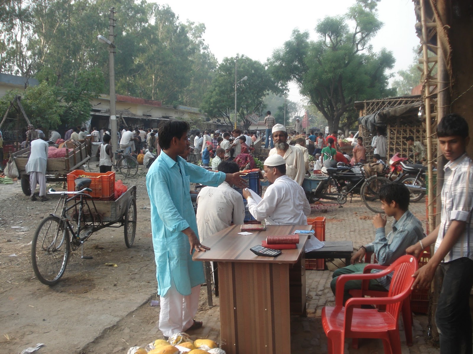 shamli शामली