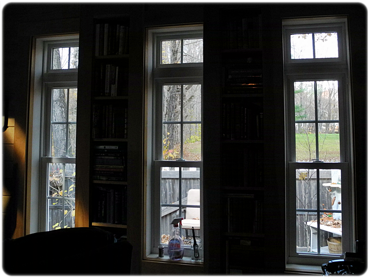 A Haven for Vee: A Little Chat