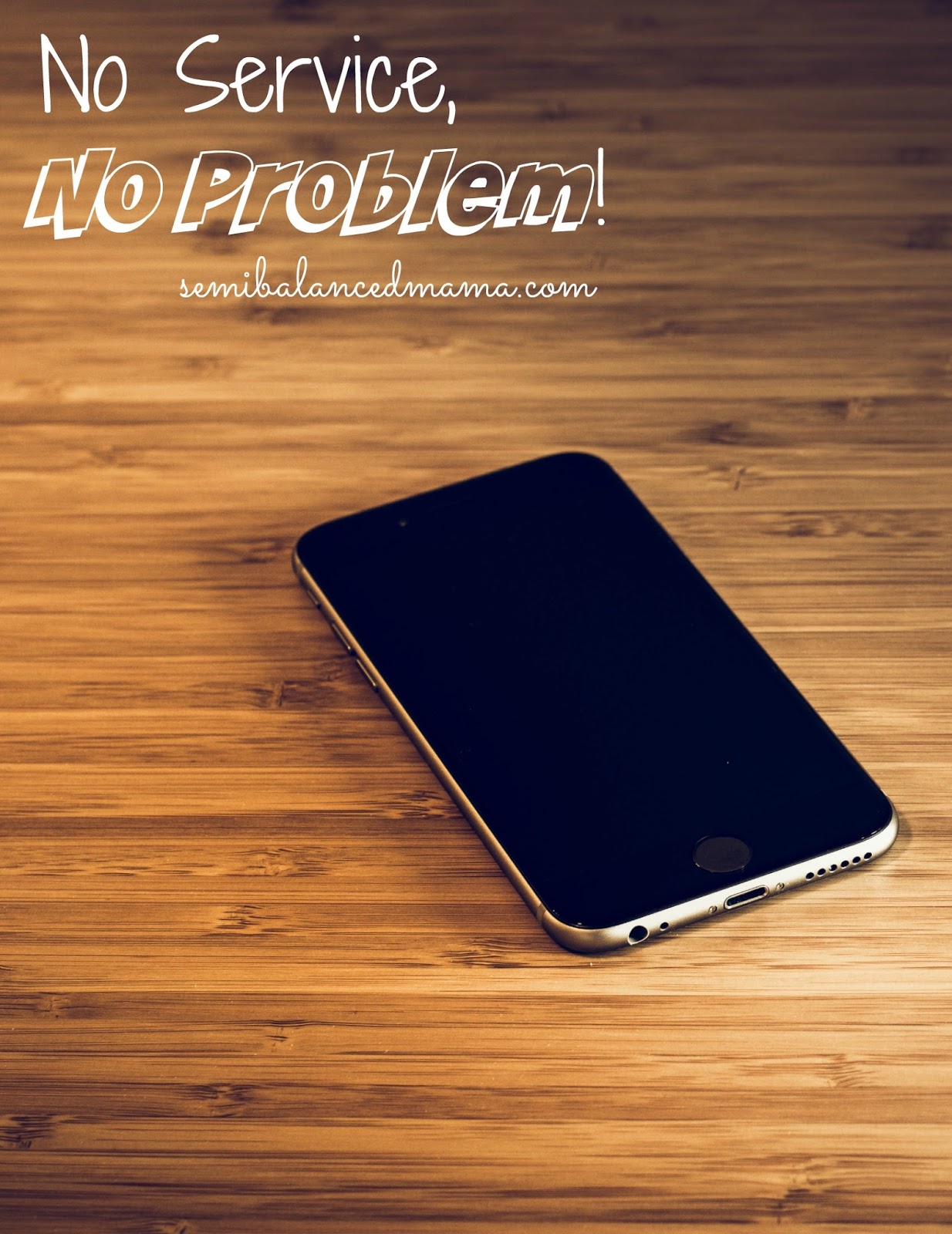No Service, No Problem! - the semibalancedmama