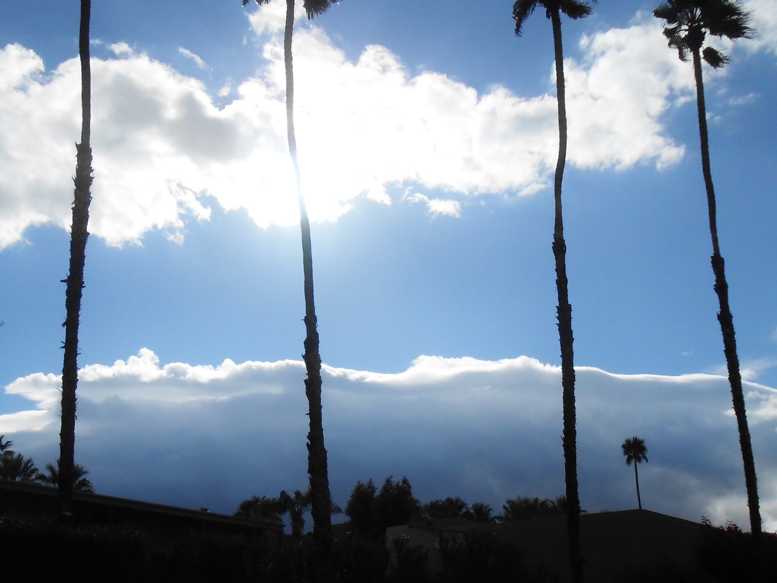 The official blog of JoAnn Roe, Author