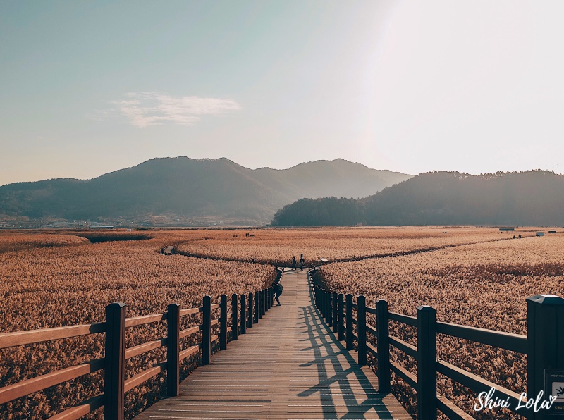 THINGS TO DO IN SUNCHEON — SHINI LOLA | Your Guide to Travel, Beauty ...