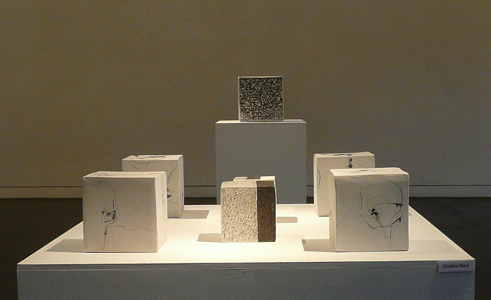 Christine Macé: Expositions