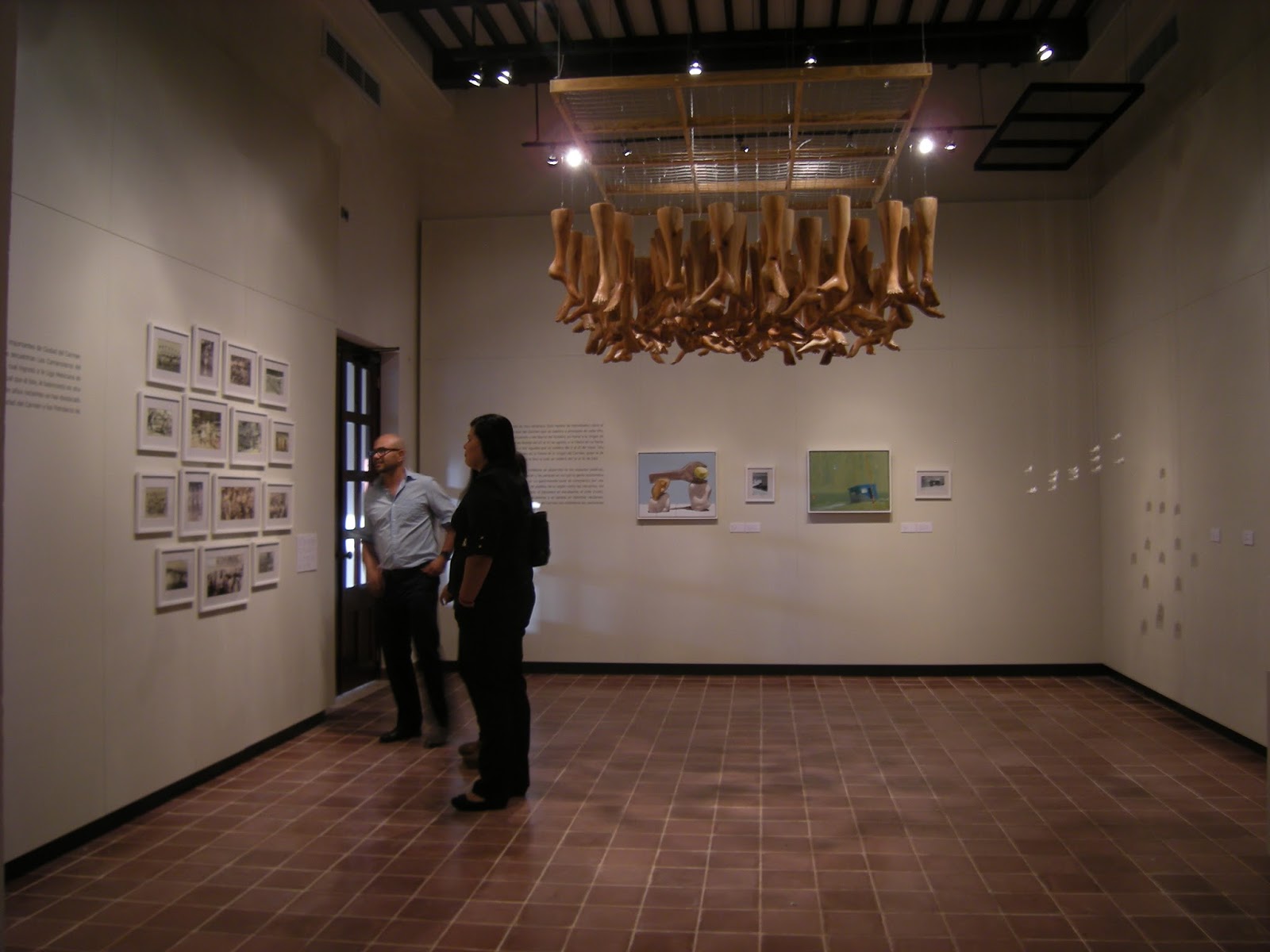 PINGÜINO ENANO: Guanal Museo Universitario de Ciencias y Artes