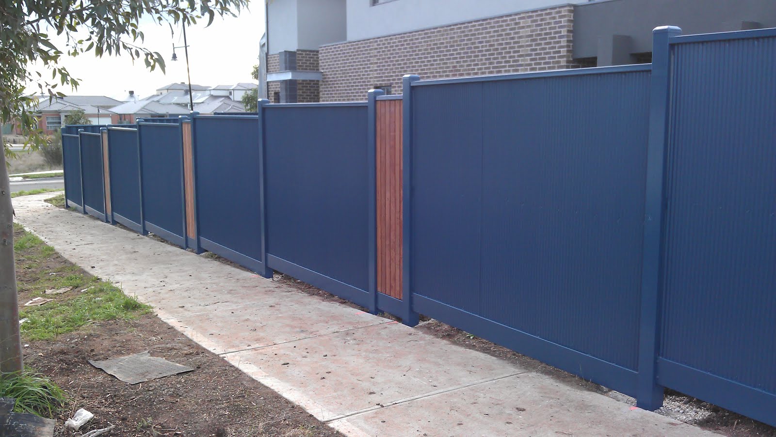 Ironman Fencing: June 2012