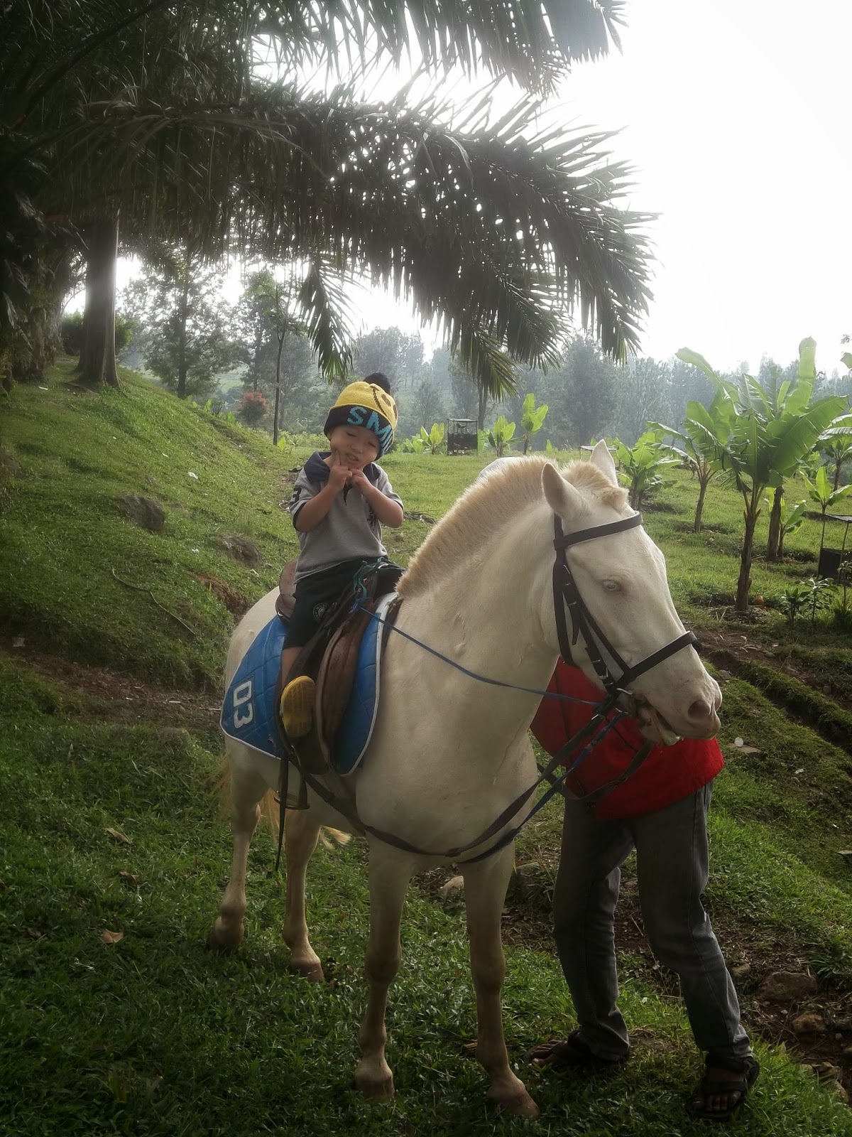 Wisata keGunung mas & Masjid Attaun Puncak Bogor - ANGKOT BOGOR 70 GF