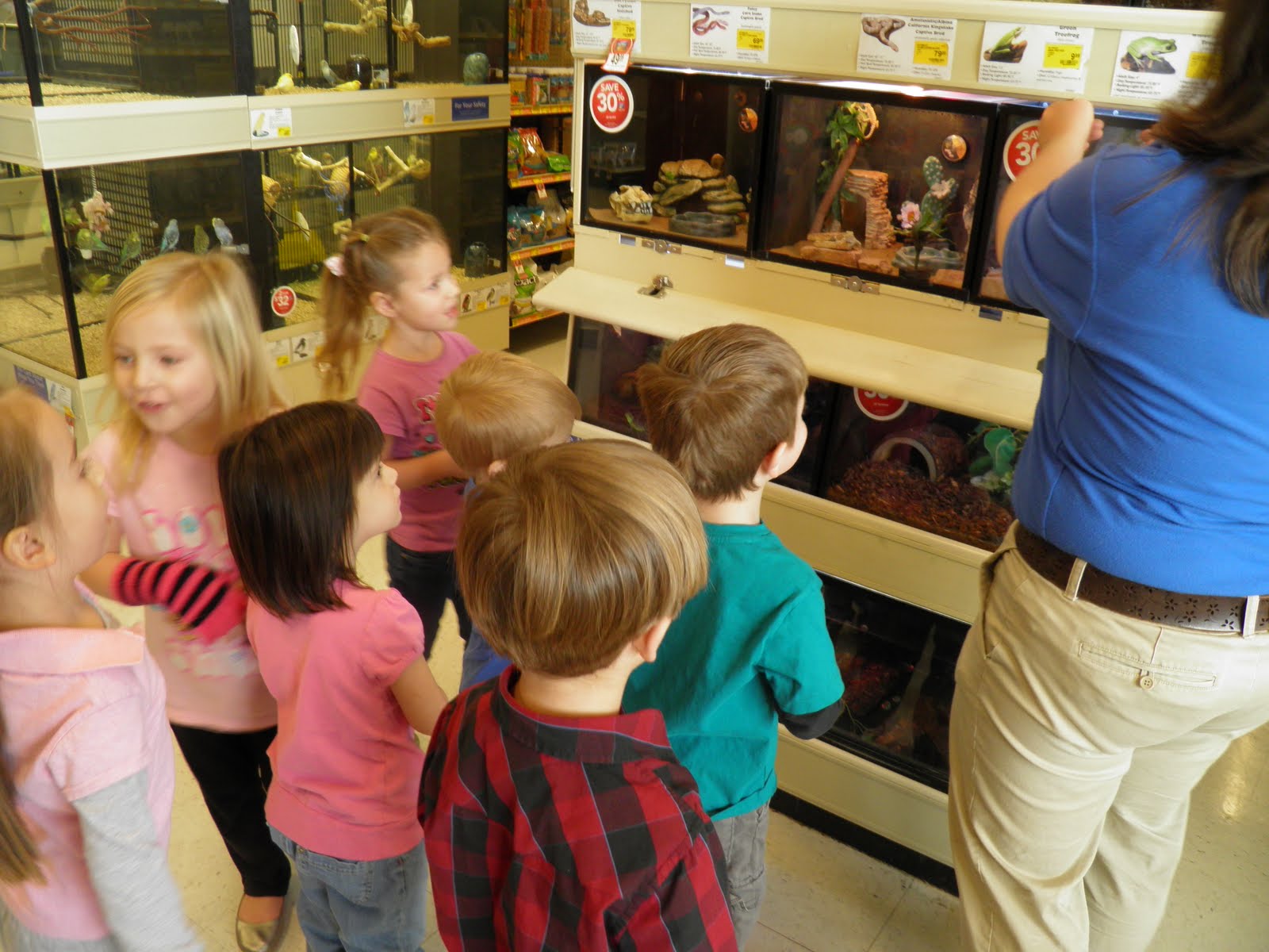 Discovery Preschool: Field Trip to PetsMart