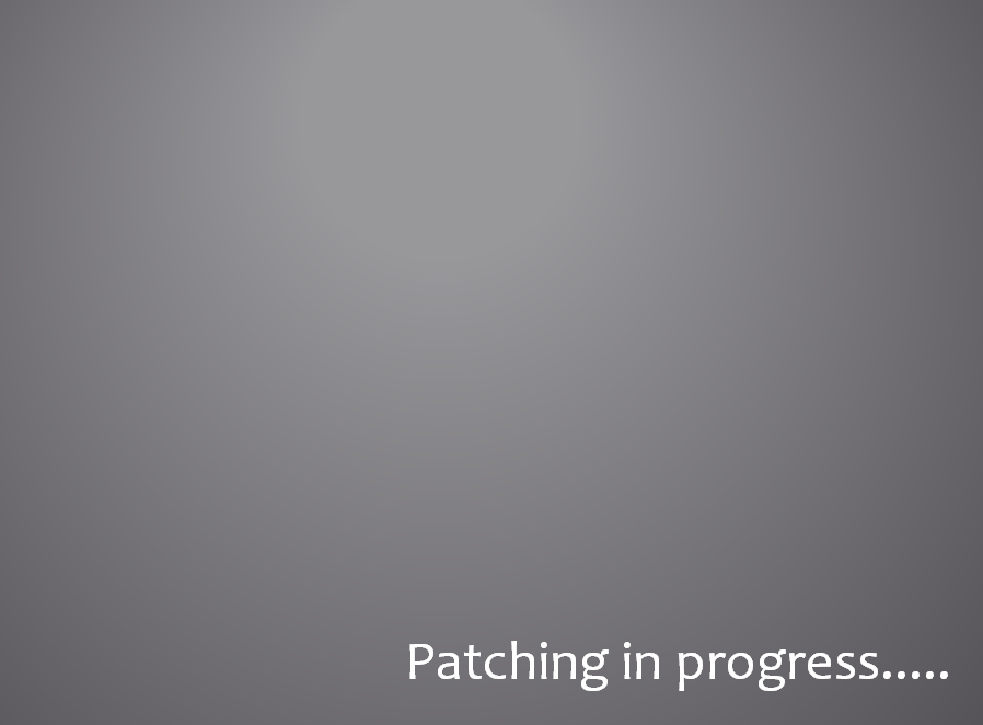 ORACLE DATABASE: Exadata Patching - Patching Strategy - Storage Server ...