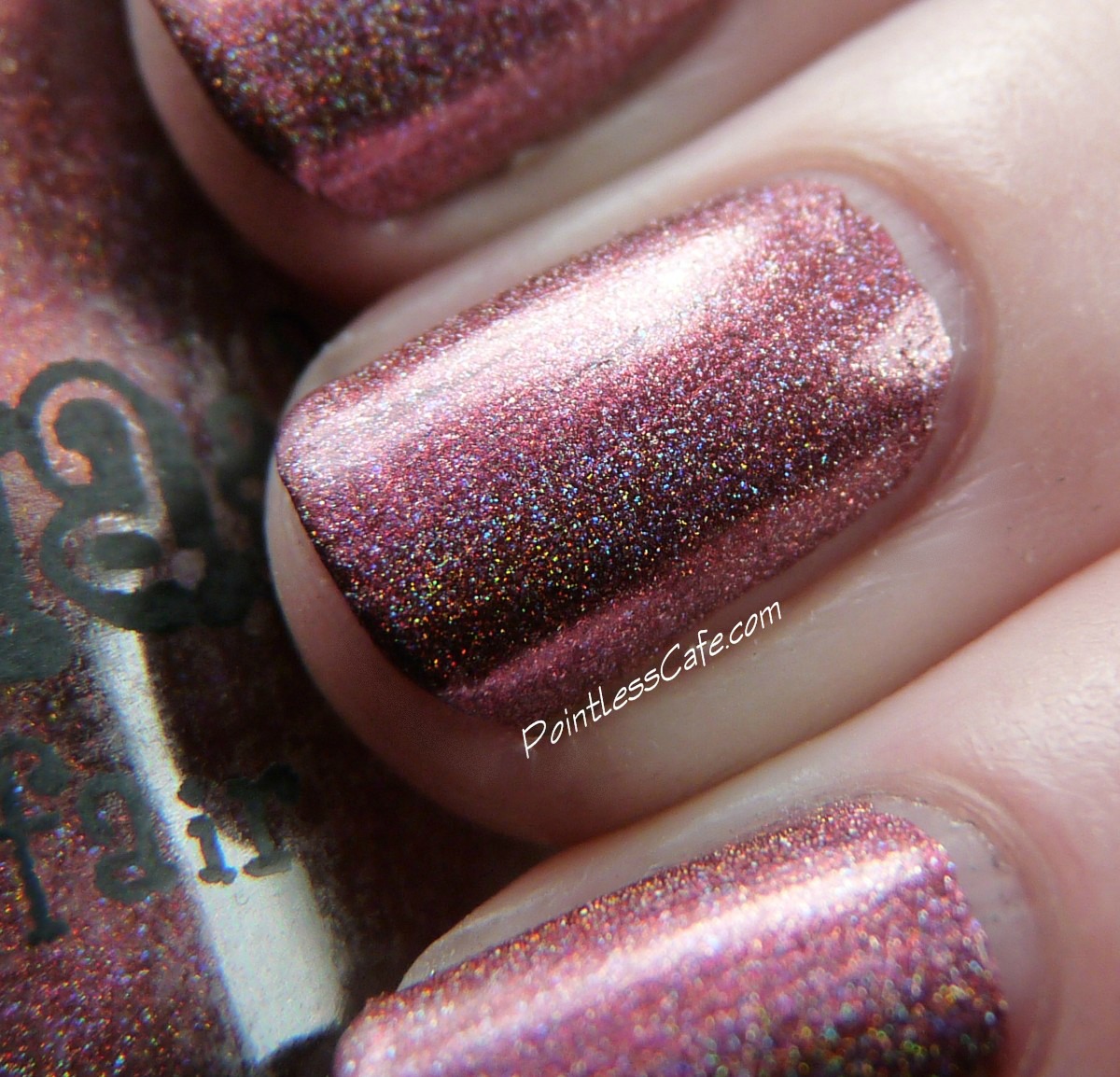 Dandy Nails DandyGraphic Collection - Swatches and Review | Pointless Cafe
