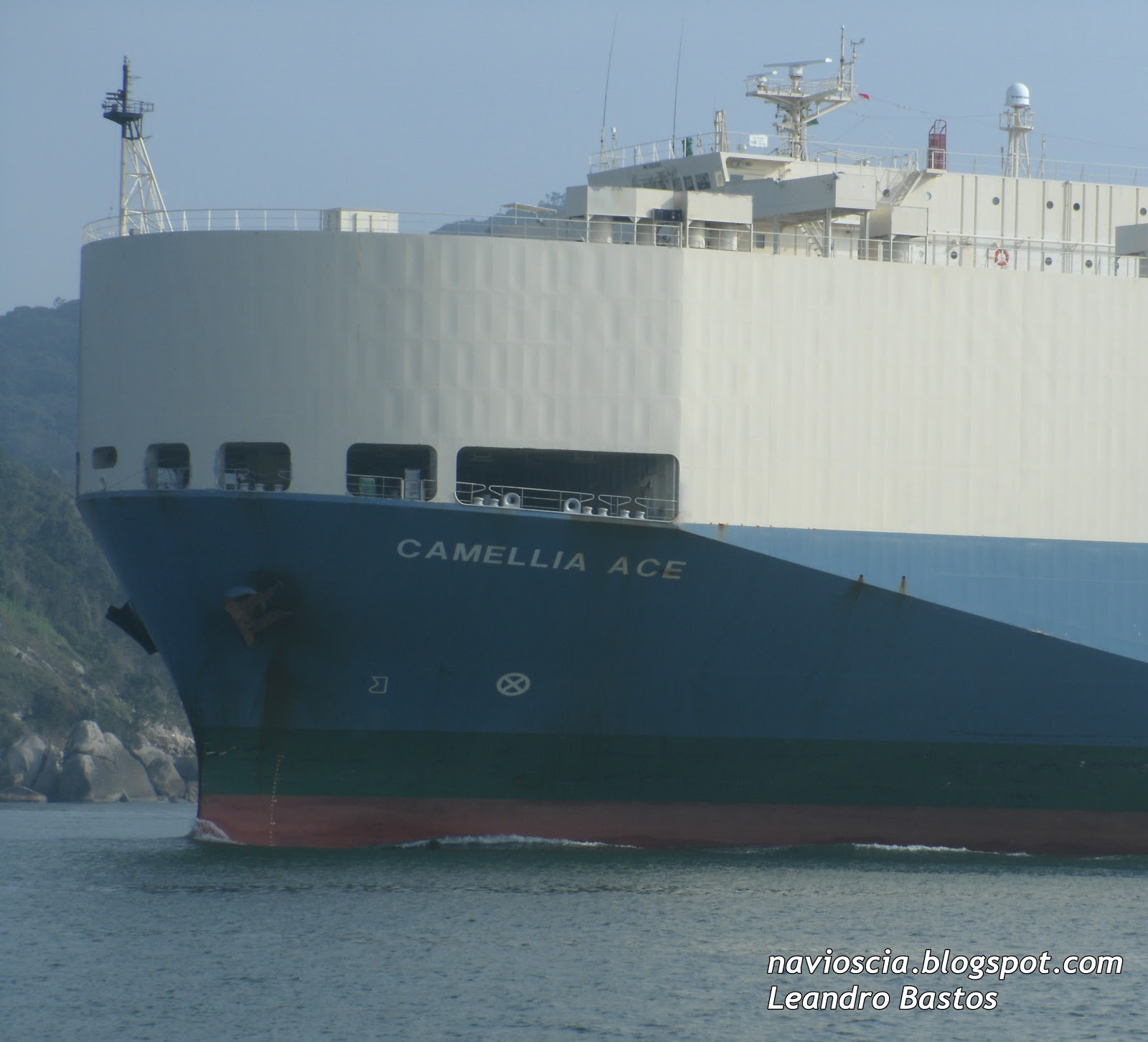 Navios de Santos & CIA: Navio CAMELLIA ACE