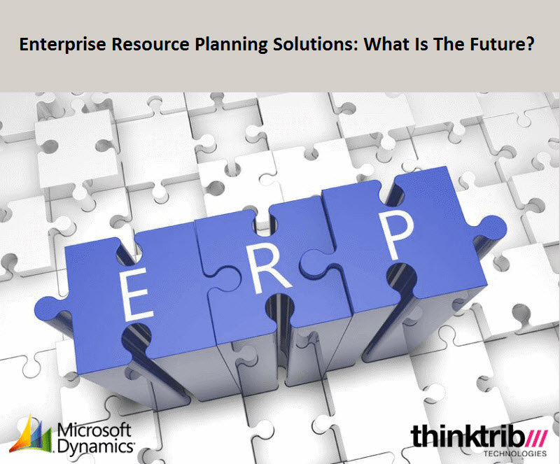 Think Tribe Technologies: Enterprise Resource Planning Solutions: What ...