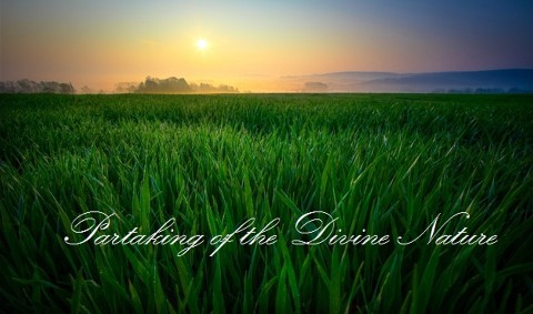 Working God's Way: Partaking of the Divine Nature -- Part II