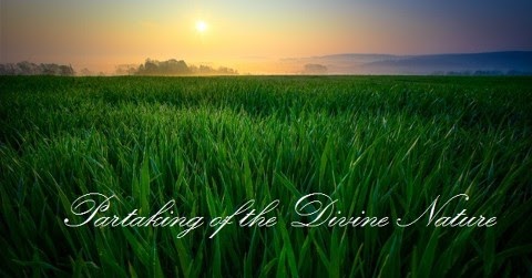 Working God's Way: Partaking of the Divine Nature -- Part II