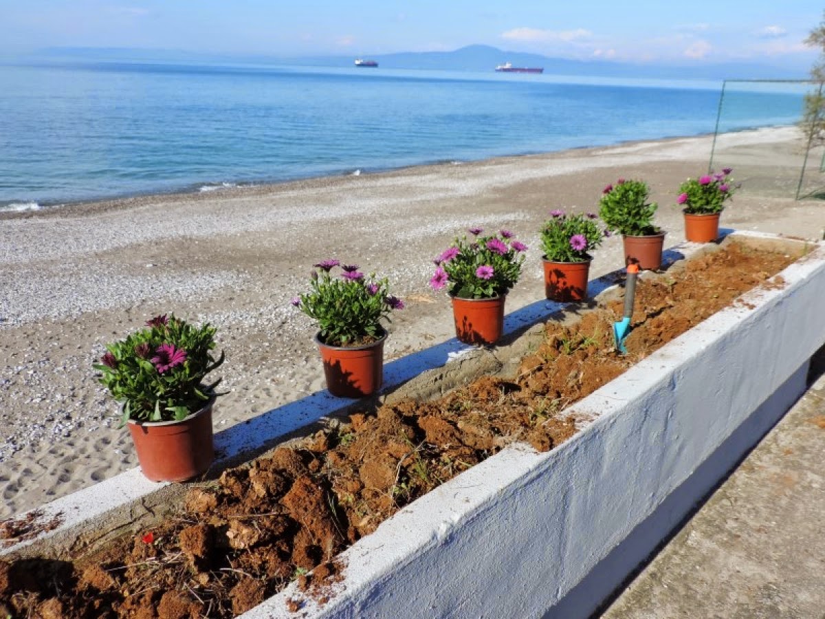 ΓΕΜΙΖΕΙ ΜΕ ΠΡΑΣΙΝΟ ΤΟ ΠΑΣΧΑ Η ΠΑΡΛΑΙΑΚΗ ΖΩΝΗ ΚΑΛΑΜΑΤΑΣ - KALAMATANEWS ...