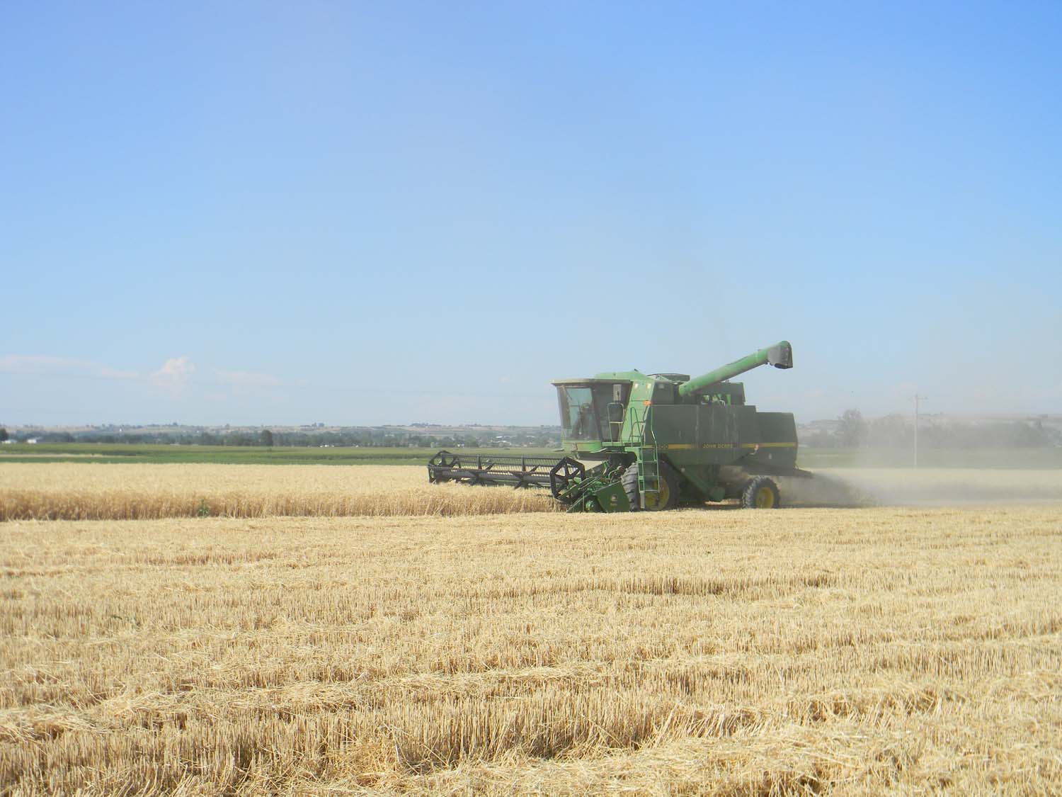 Owyhee Agriculture: Wheat Harvest