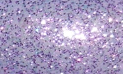 Imperfectly Painted: Orly Pixie Powder