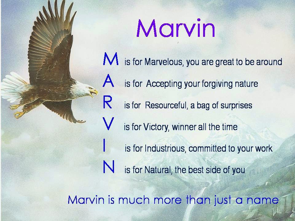 47 acrostic poetry names