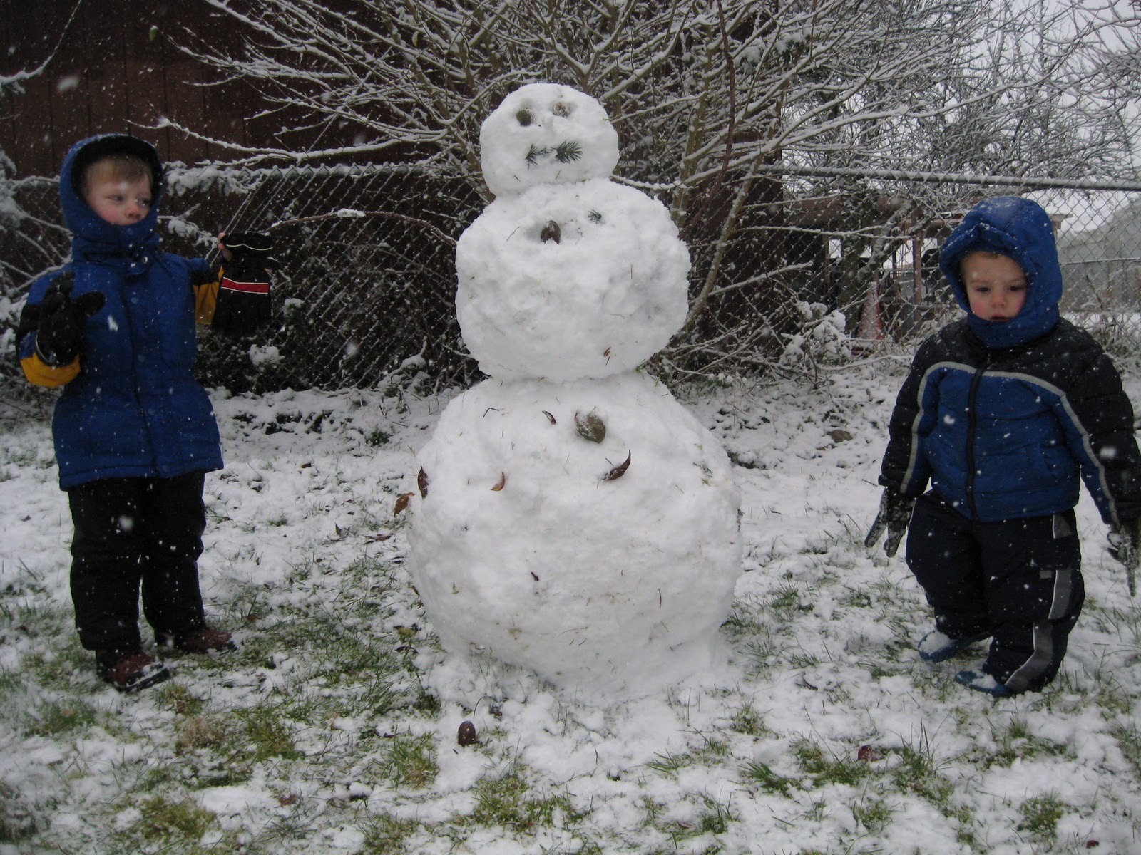 "King" ly Adventures: The Most Amazing Snowman