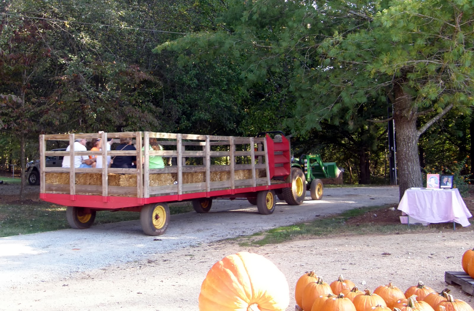 Food Gratitude: Make it a Fall Family Tradition