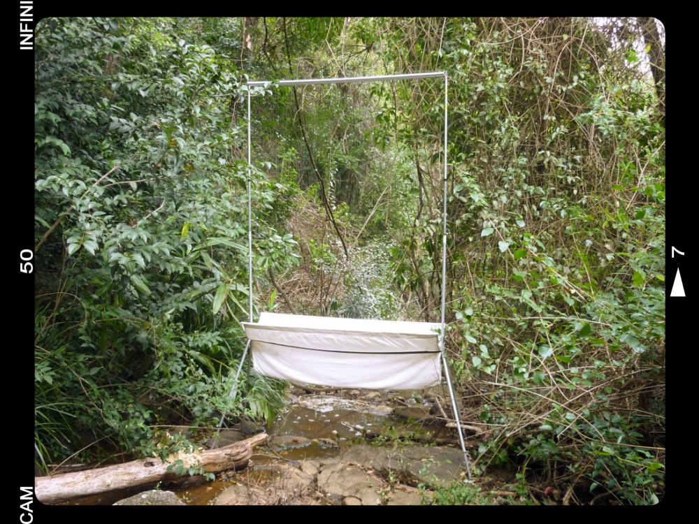 Blackwood Ecological Services: WILDLIFE SURVEYS & MANAGEMENT