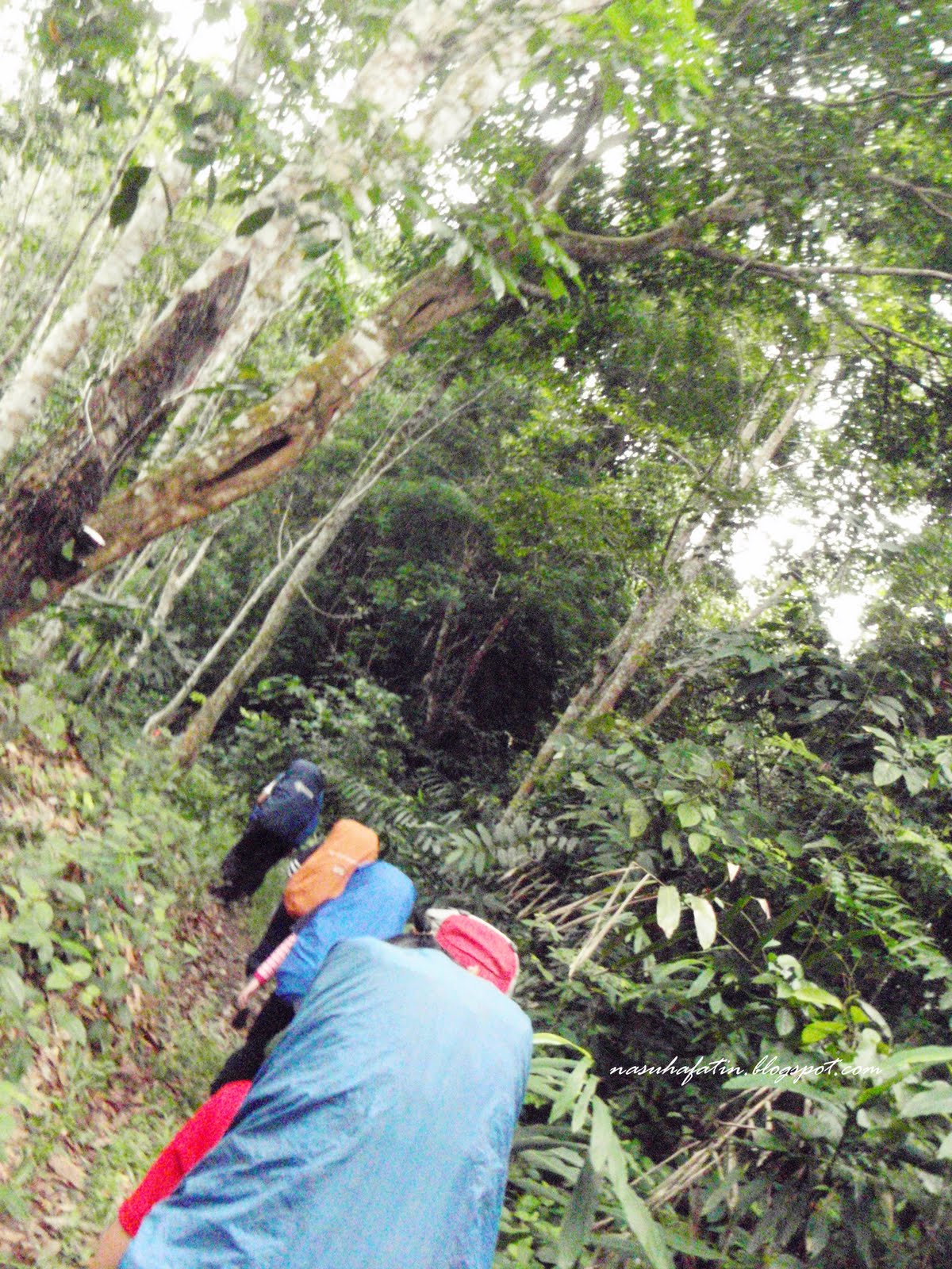 Gunung Benum | princess nasuha