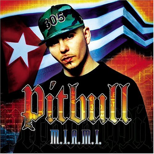Mixer: Pitbull Singer