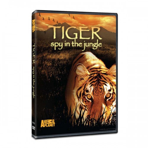 VC 101 Communication Design