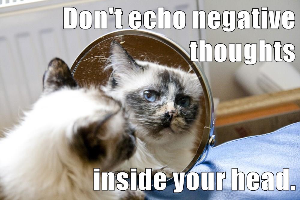 Growth Mindset & Feedback Cats: Don't echo negative thoughts inside ...